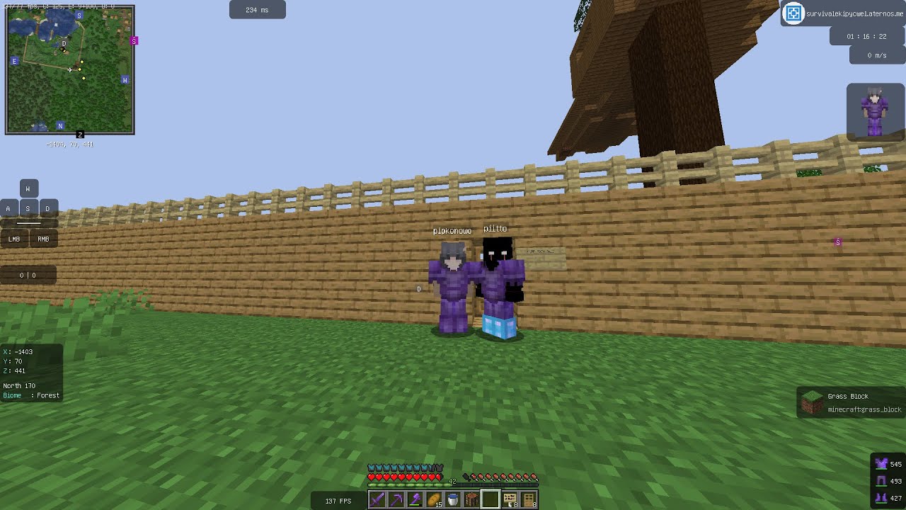 My minecraft server - YouTube