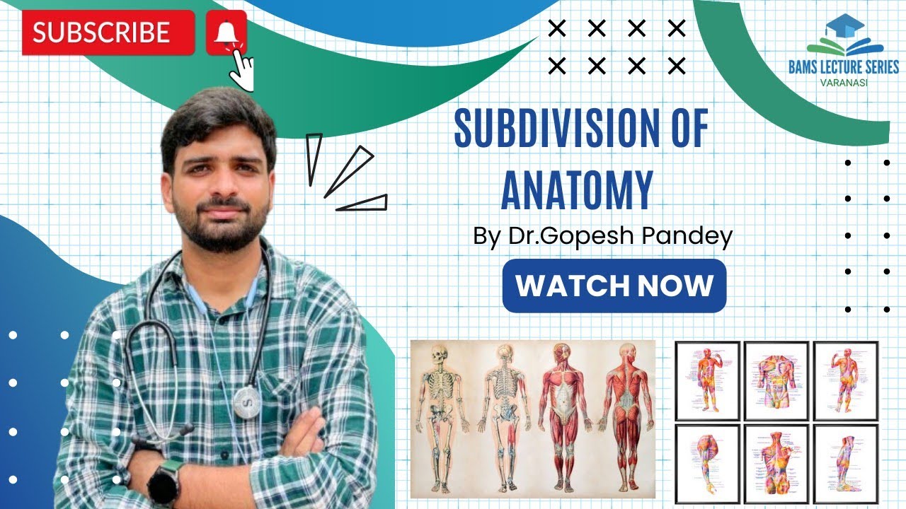 Subdivision of Anatomy ।। Part -1।।General Anatomy।।What is Anatomy ...