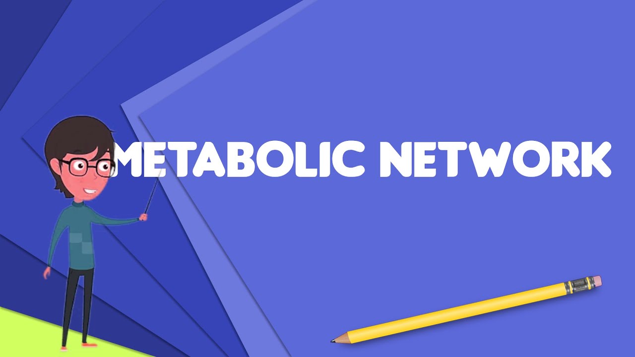 What is Metabolic network?, Explain Metabolic network, Define Metabolic ...