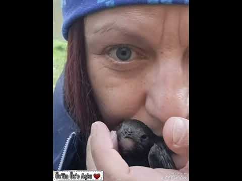 Şiir: Mehmet Ayhan ( Sevgili ). Fatma Tüfekcioğlu Yorumuyla. Öz'ün Öz'e Aşkı ❤️.