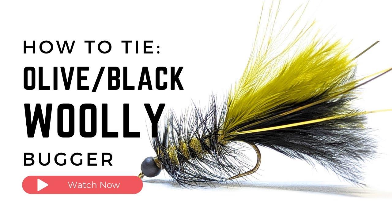 Olive/Black WOOLLY BUGGER Fly Tying Tutorial - YouTube