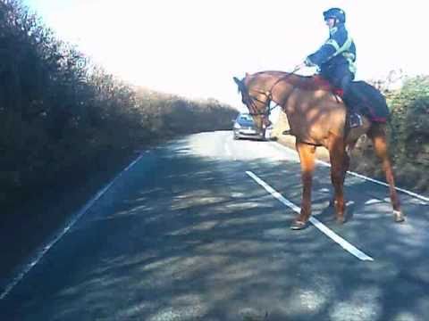 Spooked Horse - YouTube