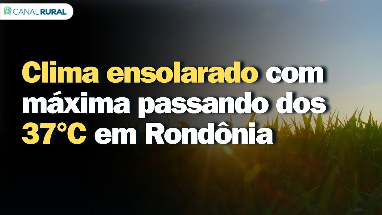 Previsão do tempo | Norte | Clima ensolarado com máxima passando dos 37 ...