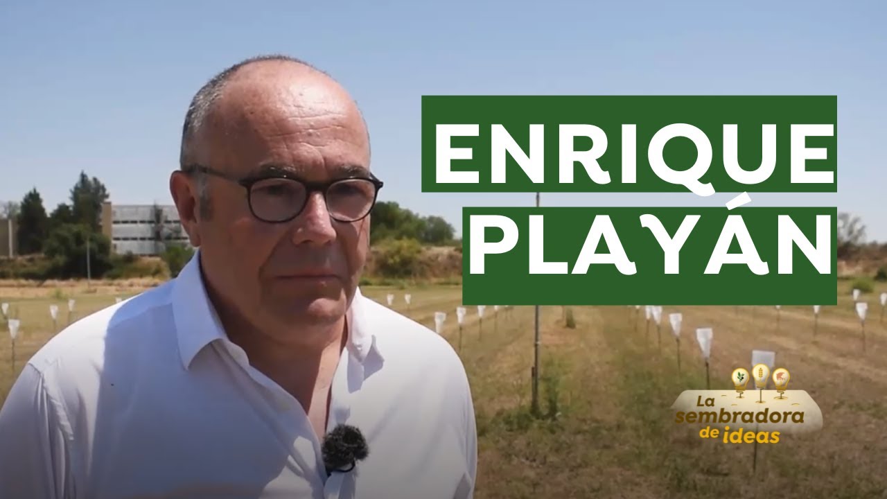 Enrique Playán - Segunda Edición La Sembradora de Ideas - YouTube
