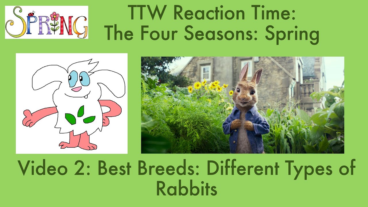 TTW Reaction Time: The Four Seasons: Spring: Best Breeds: Different ...