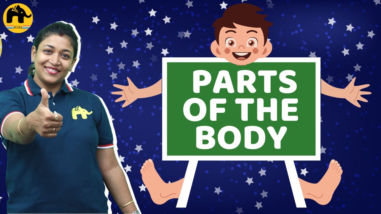 Learning Parts Of The Body Names For Kids LearnoHub Kids Hindi YouTube learning-parts-of-the-body-names-for-kids-learnohub-kids-hindi-youtube
