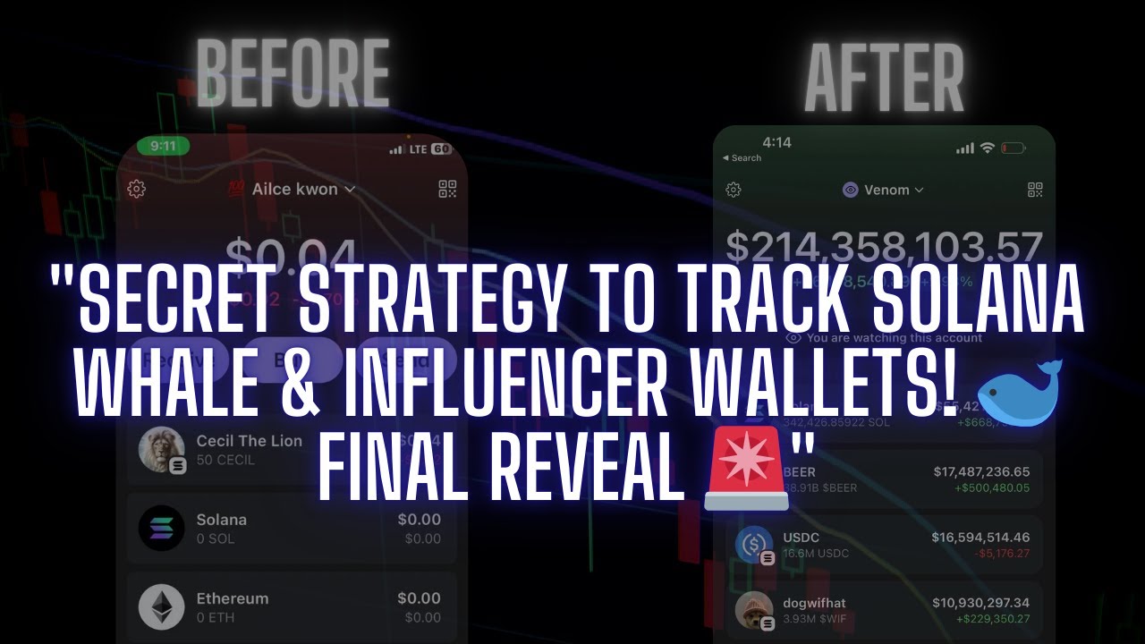 How To Follow The Trades of Whales! 🚨""Whale Wallet Secrets 🐋🔥 ...