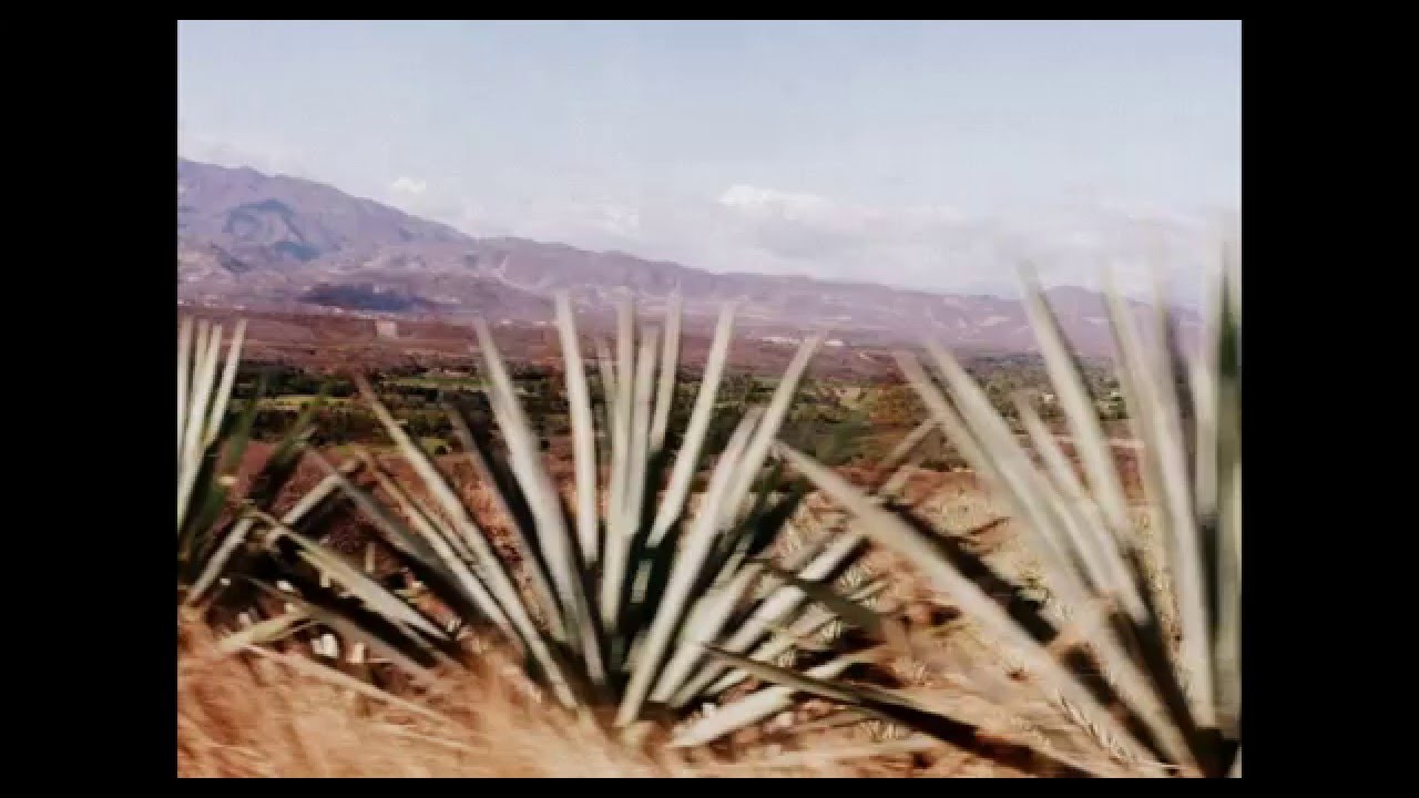 Frontier de Mexico - YouTube