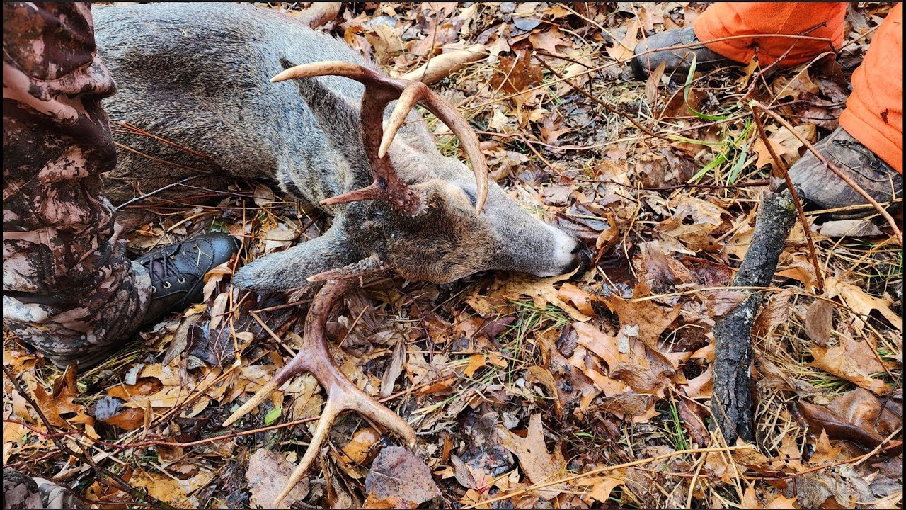 2024 MN Deer Opener - A Nice 8pt Buck - YouTube