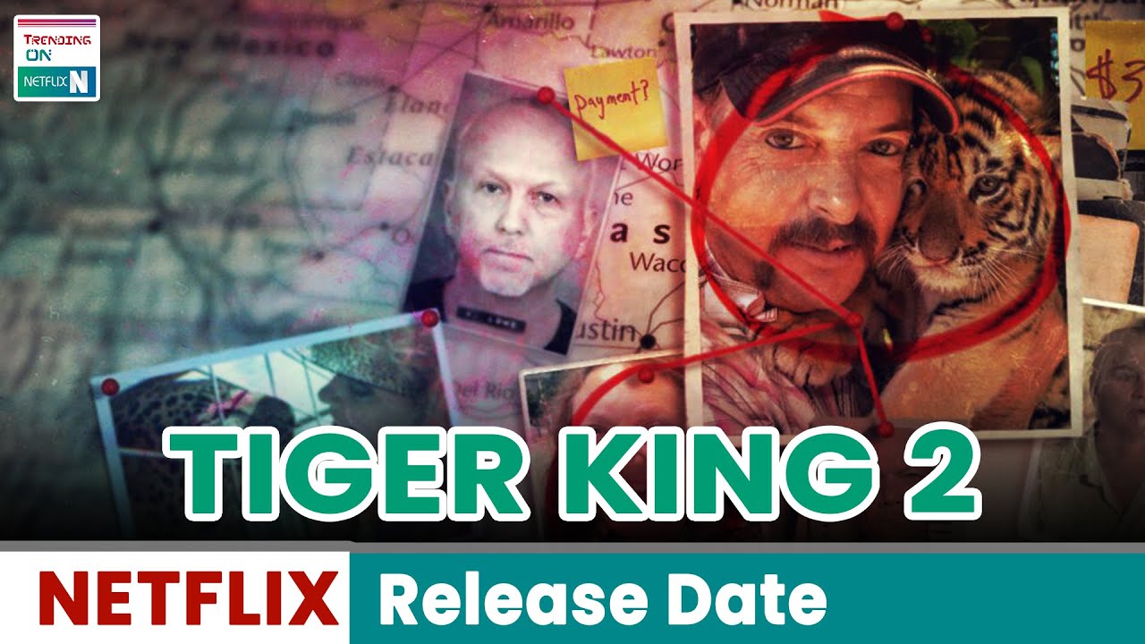 Tiger King 2 Release Date and Synopsis - Trending on Netflix - YouTube