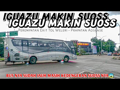 STJ IGUAZU TAMPIL BEDA - SUASANA SORE HARI EXIT TOL WELERI HUJAN TETEP HUNTING - Hunting Bus Di Tol