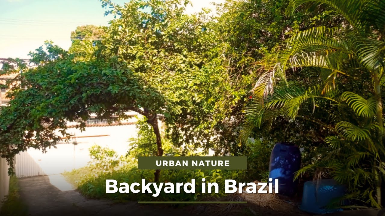 1 HR of Relaxing Urban Nature Escapes | Calm | Relax | Ambience ...