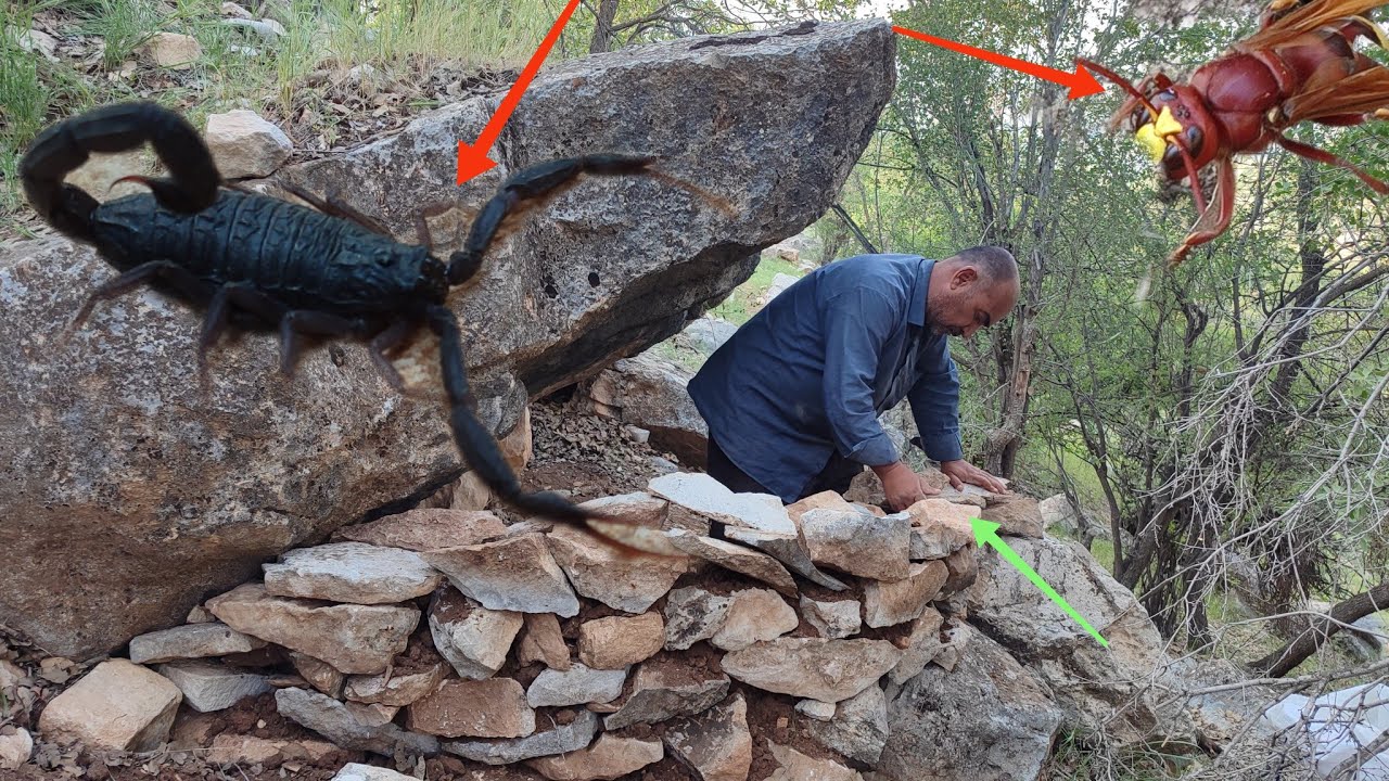 The Secretof the Stone Hut:Dr.Naghi is building a hut that seemsto have ...