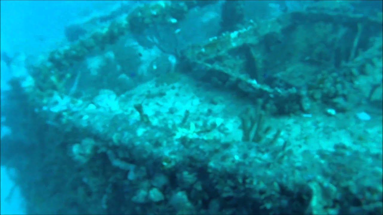 Diving the Jay Scutti 12-12-10 #3 - YouTube