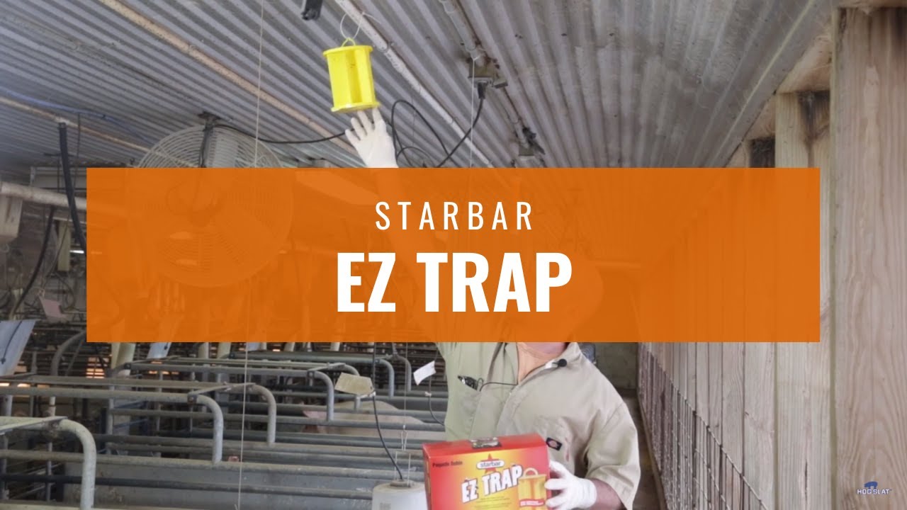StarBar EZ Trap Insect Trap - YouTube