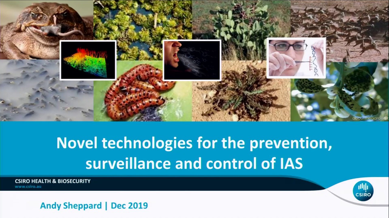 Exchanging Experience on the Management of Invasive Alien species in ...