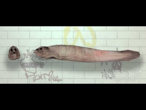 Half-Life Podcast: Carnivorous Leech, quite possibly the most ...