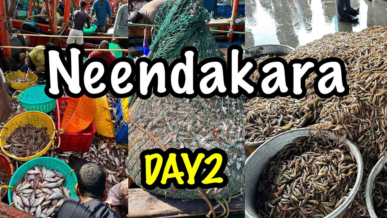 Day2 Neendakara Fishing today - YouTube