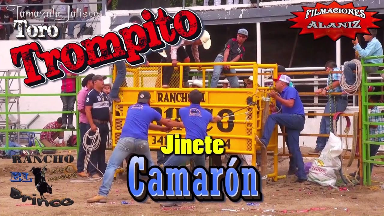 La revancha esperada el Martillo de rancho el Brinco vs Chepe Diaz ...