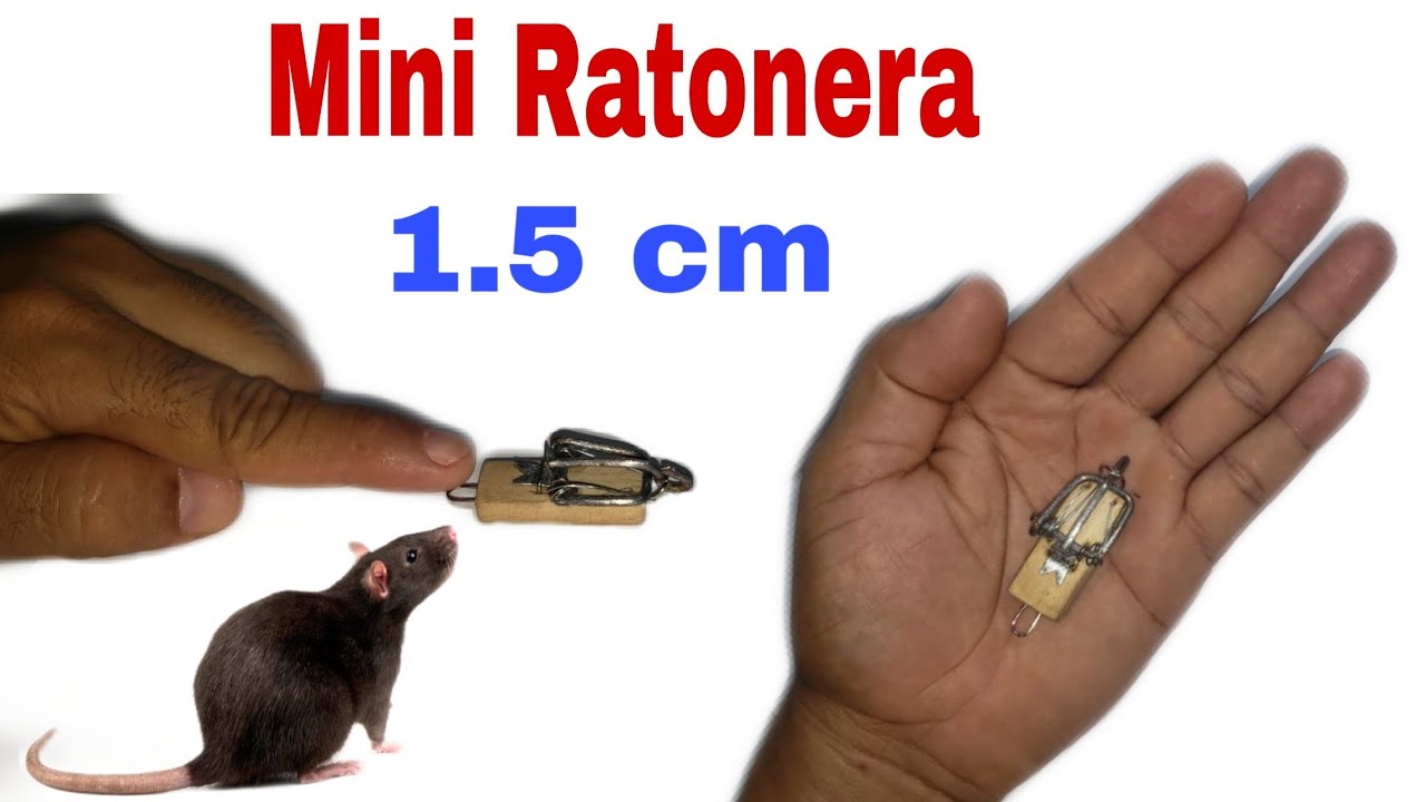 Ratonera, mini trampa para ratones - YouTube