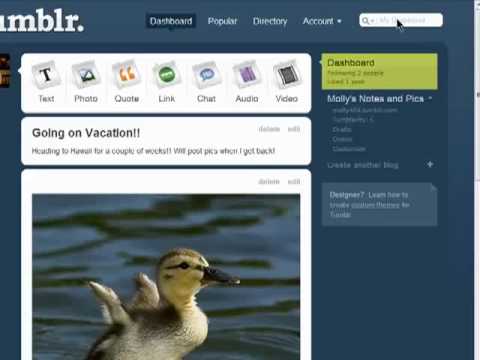 How to edit and search on Tumblr - YouTube