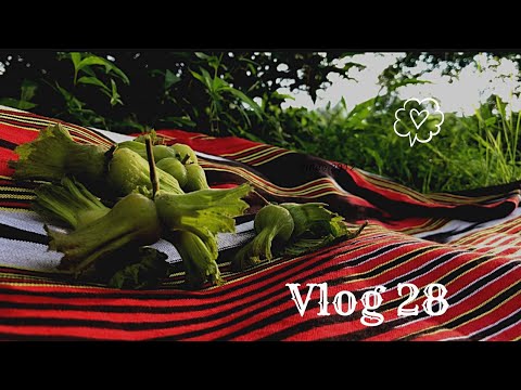 Benimle Köyde Vakit Geçir / En Değerli Anlarım / Memleket Kokusu / Sessiz Vlog / Sılent Vlog / Morçi