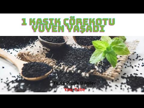 Sabahları 1 Kaşık Çörek Otu Vücudunuza Bunları Yapıyor | Çörek Otunun Faydaları Yan Etkileri