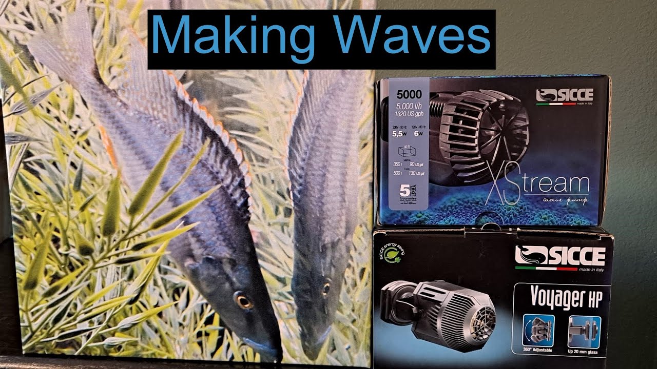 MAKING WAVES (SICCE XStream and Voyager HP 8) - YouTube