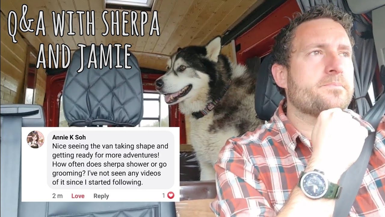 Answering more of your Questions with Sherpa the Husky - YouTube