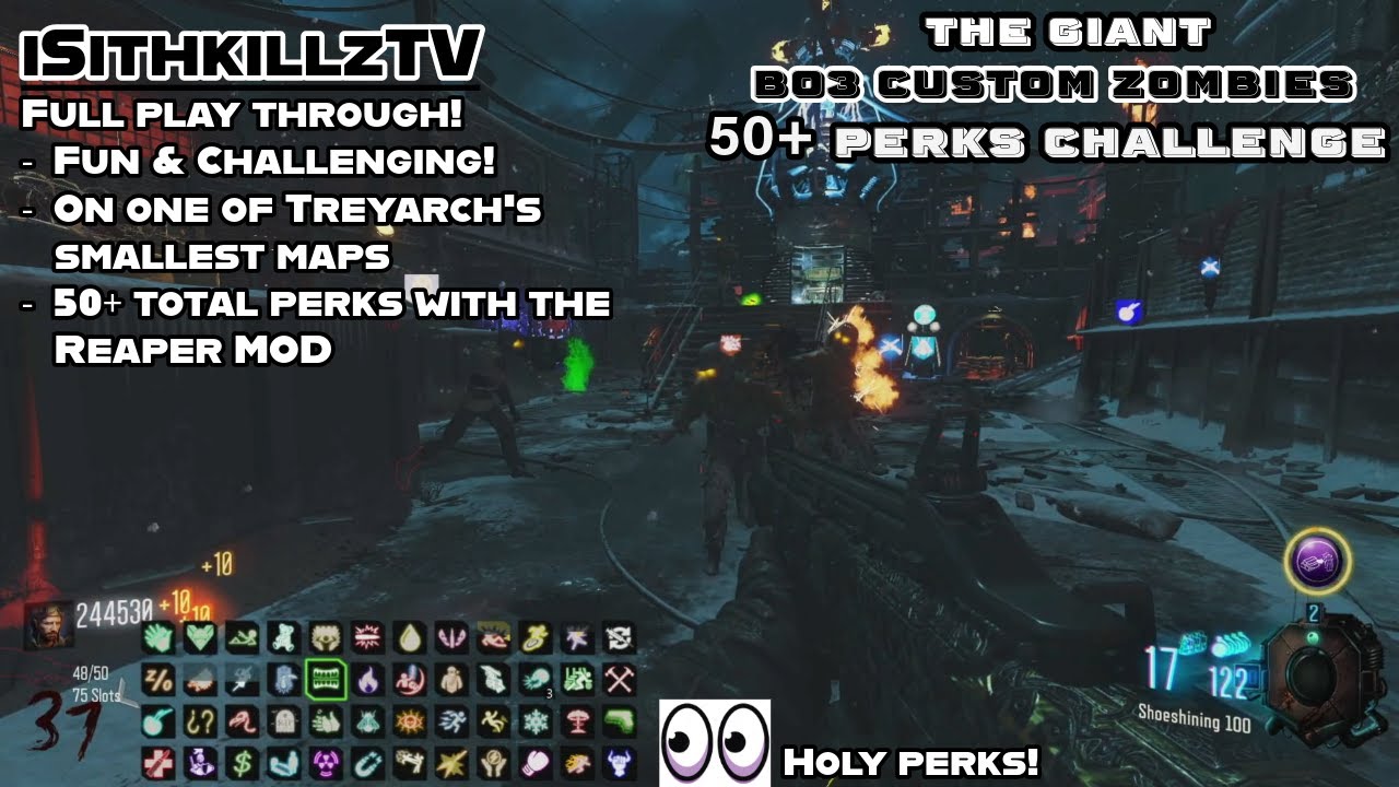 50+ Perks Challenge on The Giant was harder than I thought - Bo3 custom ...