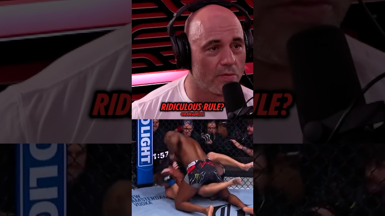 Joe rogan and gsp on the ufc rules!🔥 - YouTube