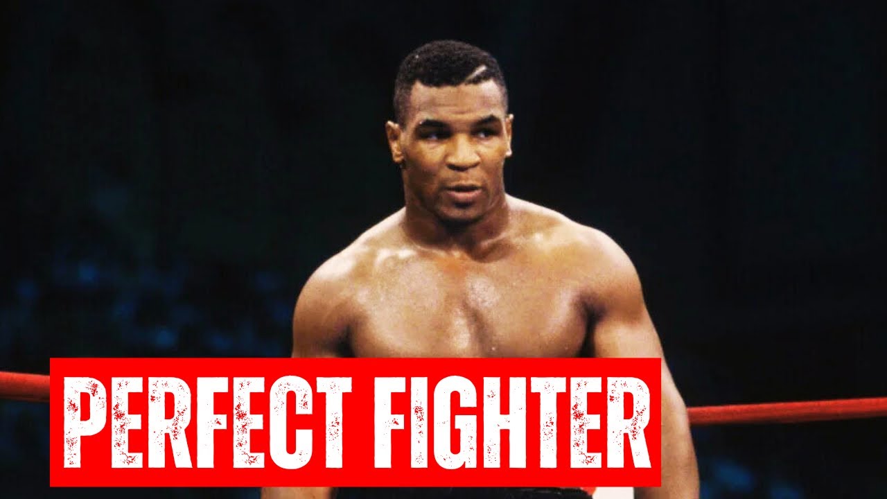 Building the Perfect Boxer – The Ultimate Fighter with the Best Skills ...