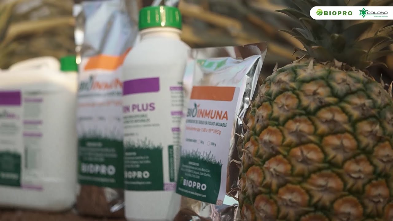 Biopro -Transformando el futuro - YouTube