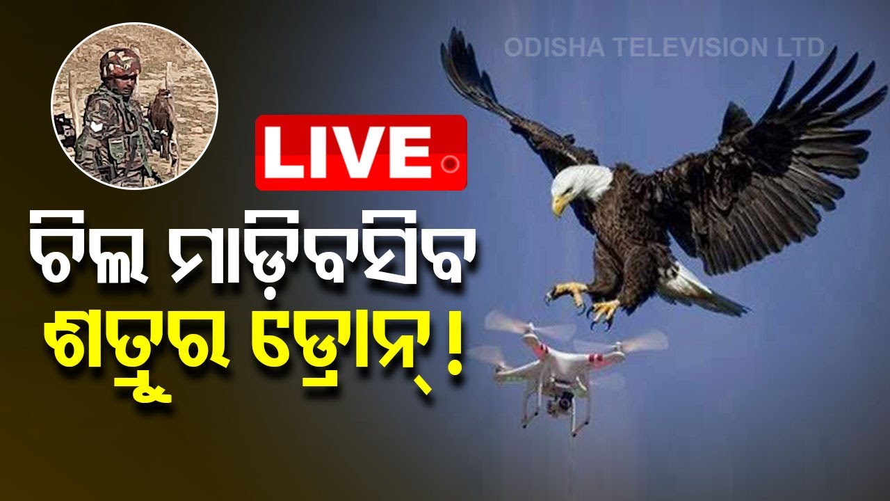 LIVE || Indian Army Trained Eagles To Prey On Enemy Drones ||ଶତ୍ରୁ ଡ୍ରୋନ୍ ଝାମ୍ପିନେବ ସେନାର ଚିଲ ...
