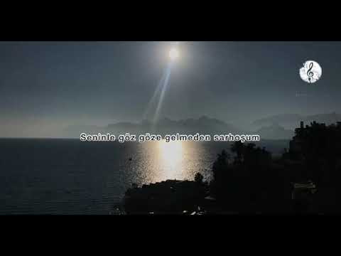 SEN BENİM KELEBEK GİBİ KALBİME NE YAPTIN