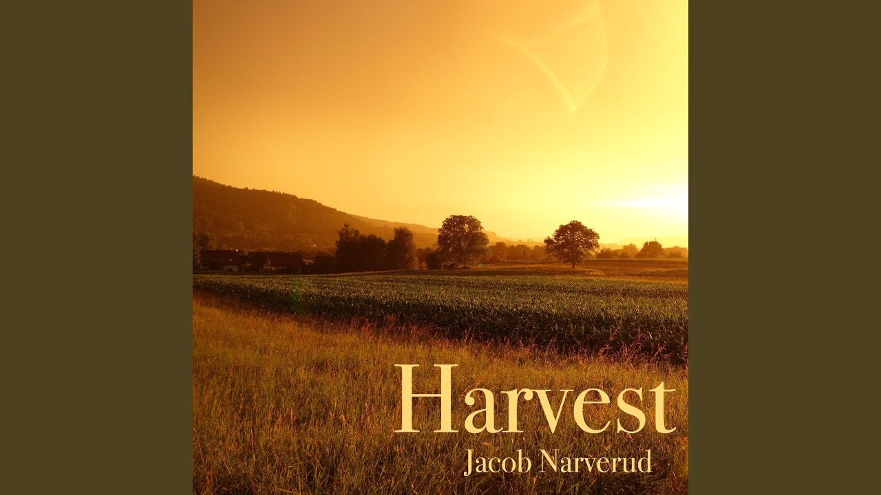 Harvest (Live) - YouTube