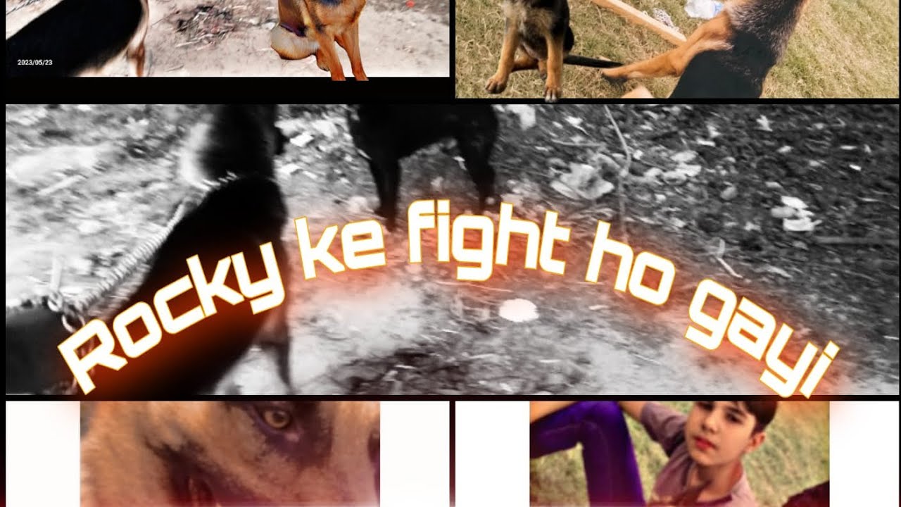 rocky Ki Ho Gayi fight #vlog😱😱😱 - YouTube