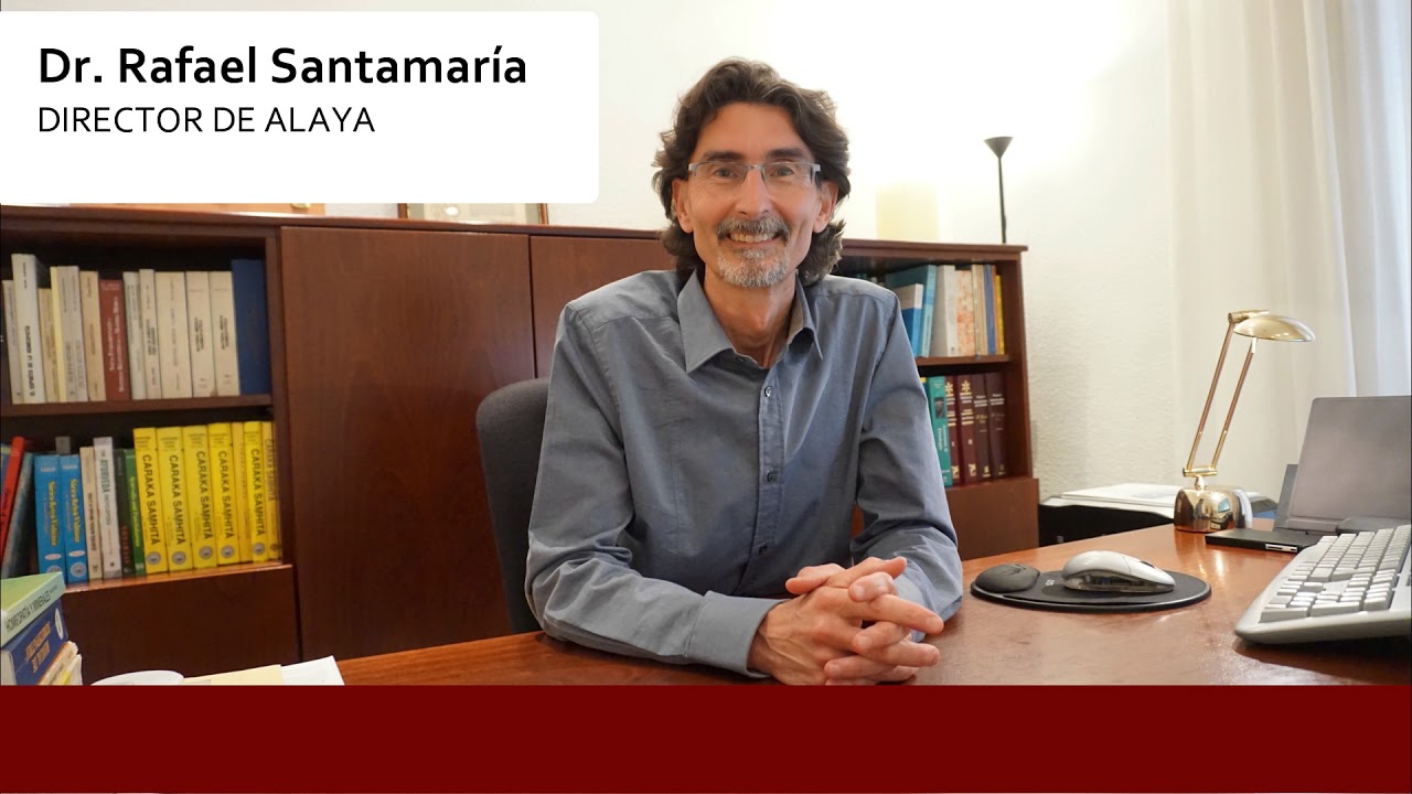 Entrevista al Dr. Rafael Santamaría, Director de Alaya Institute - YouTube