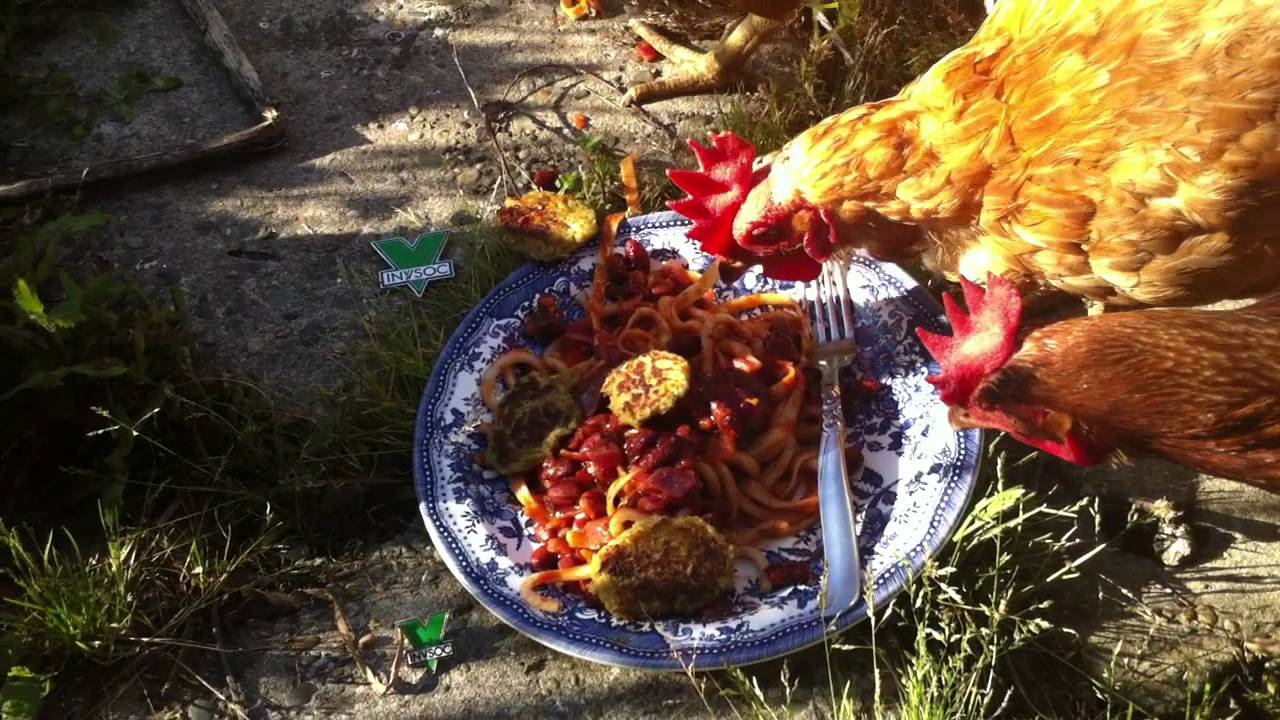 Hungry Hungry Hen Friends - YouTube