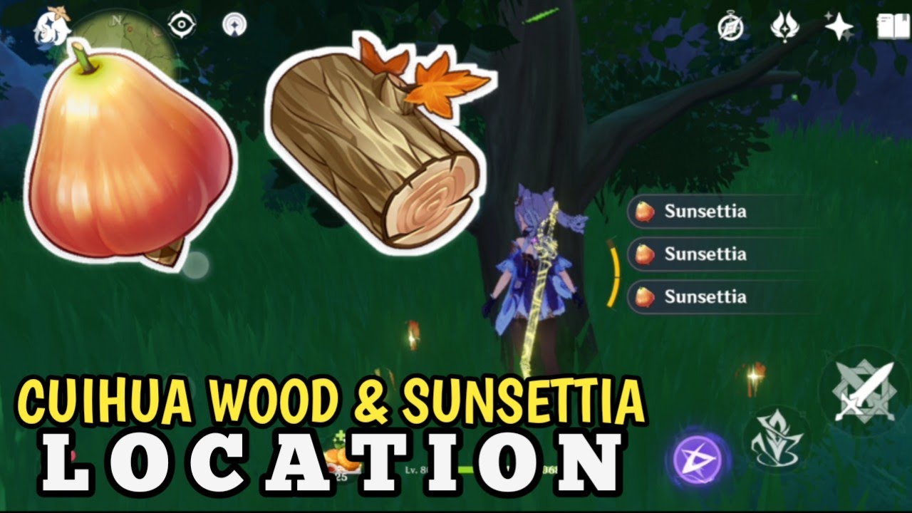 Sunsettia Genshin Impact Location || Cuihua Wood Best Farming Spots #6 ...