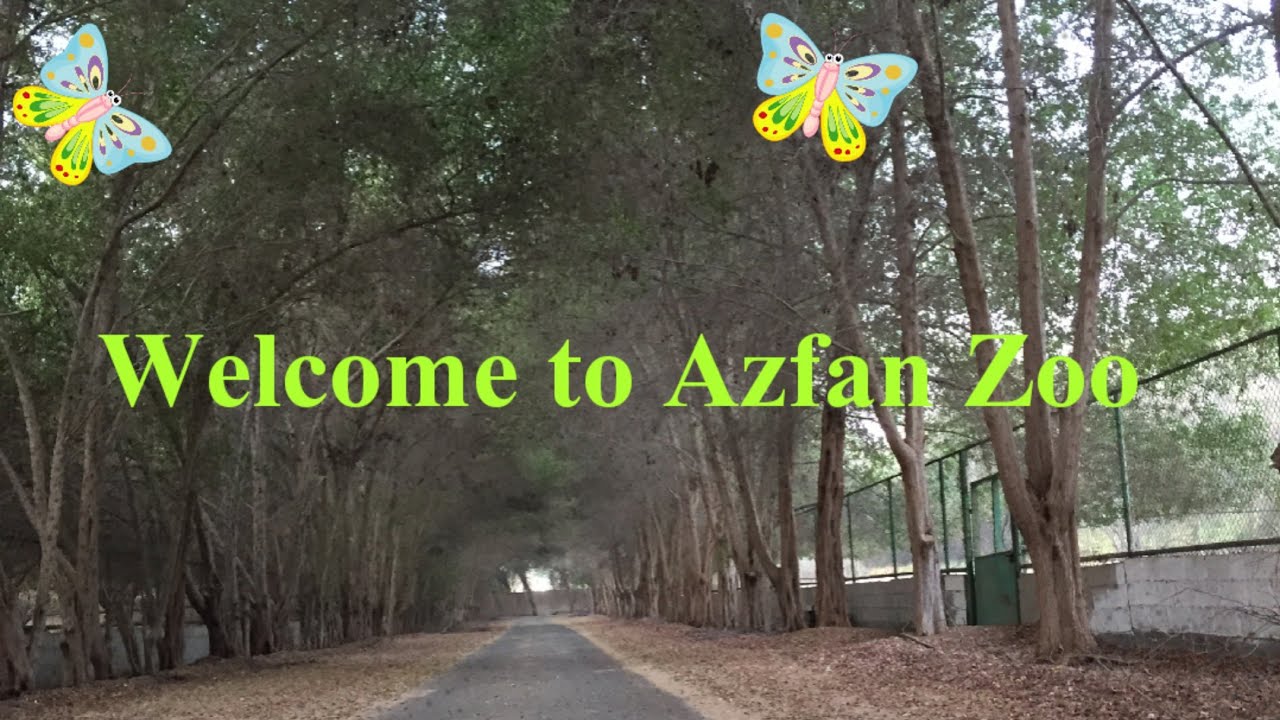 Asfan Zoo/Zoo in Jeddah/ Jeddah Vlog/Asfan Zoo in Jeddah - YouTube