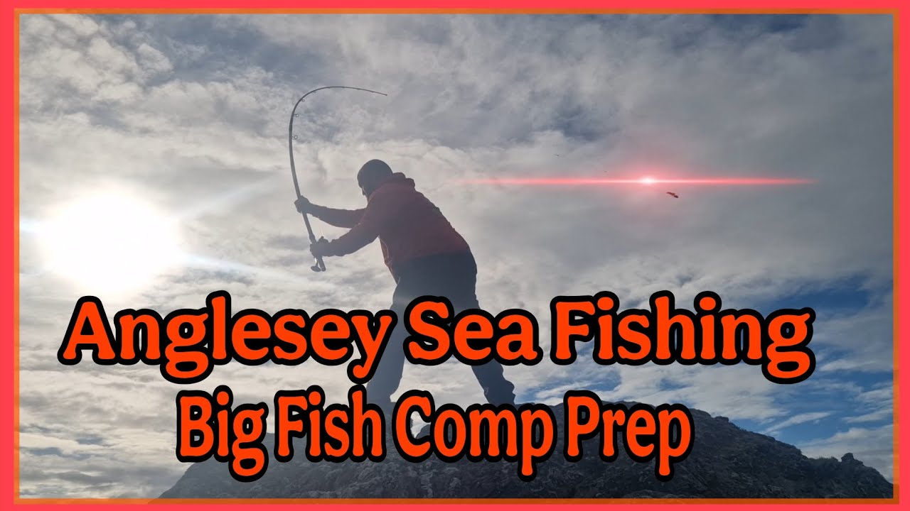 Big Fish Competition Preparation – Team Black’s Debut | Anglesey Sea ...