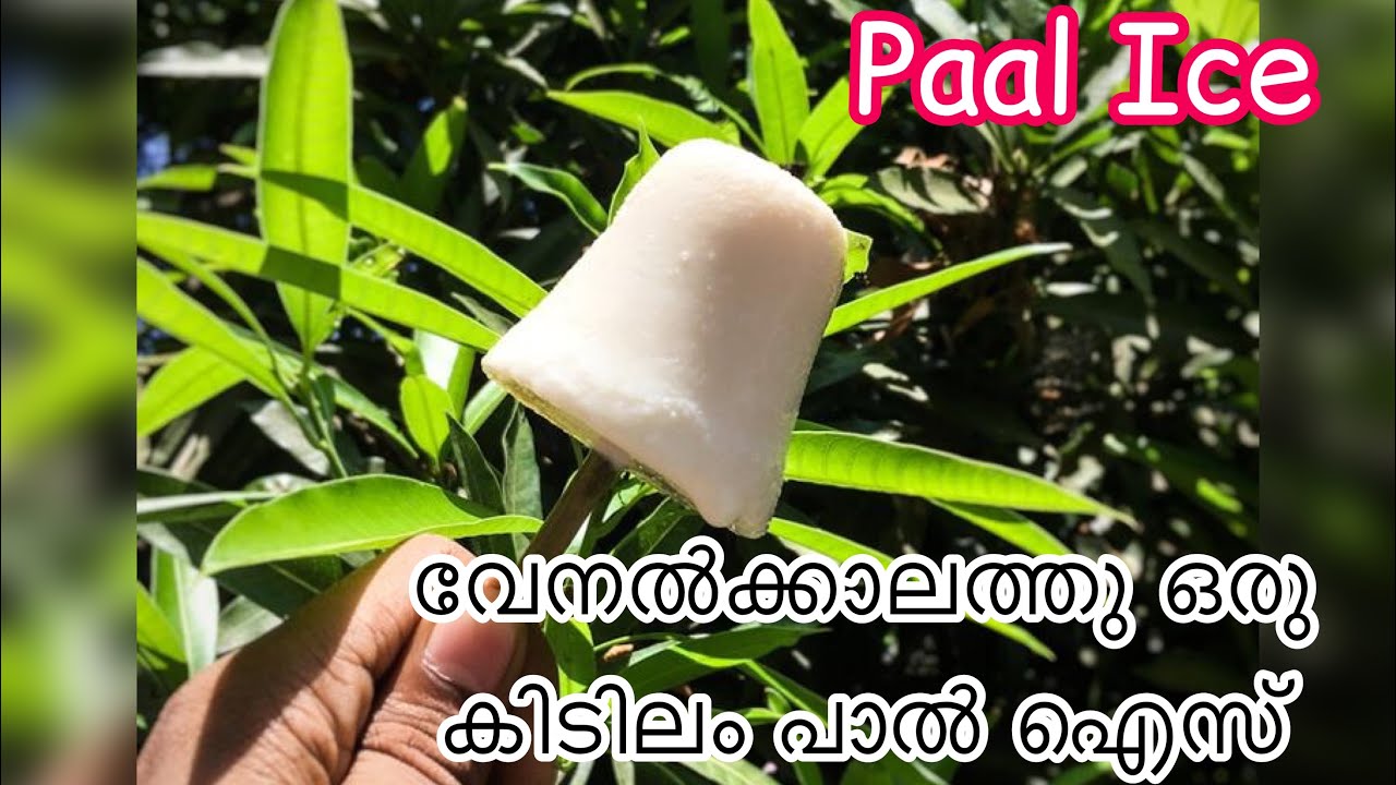 Paal Ice very simple and easy recipe.മോൾഡ് ഇല്ലതെ എങ്ങ്നെ തയ്യാറാകാം ...