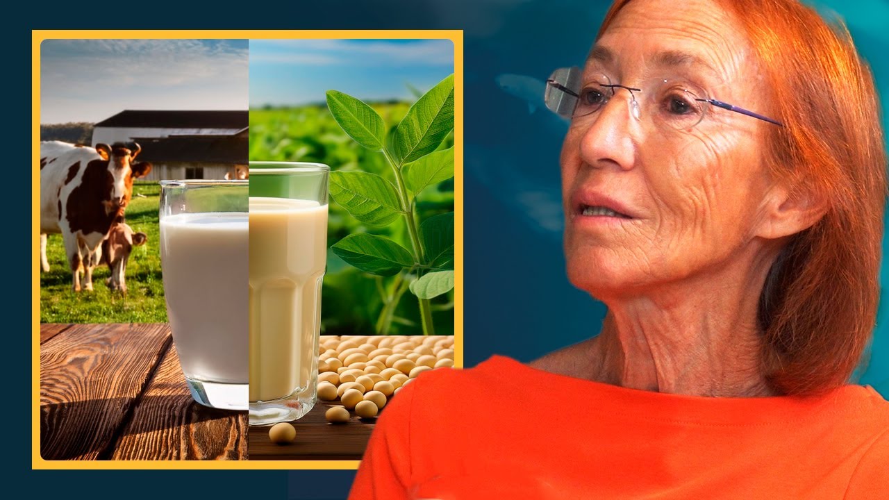 ¿Debemos evitar la Leche de Vaca? La mejor bebida vegetal: ¿Soja, Avena ...