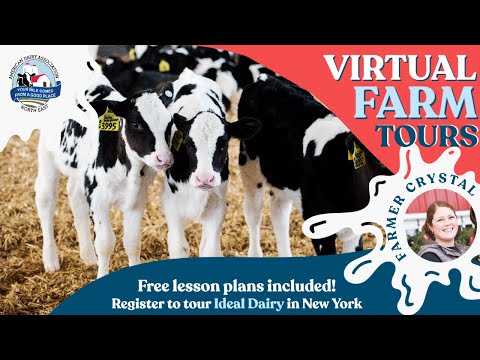 Virtual Farm Tour of Ideal Dairy – Virtual Farm Trips