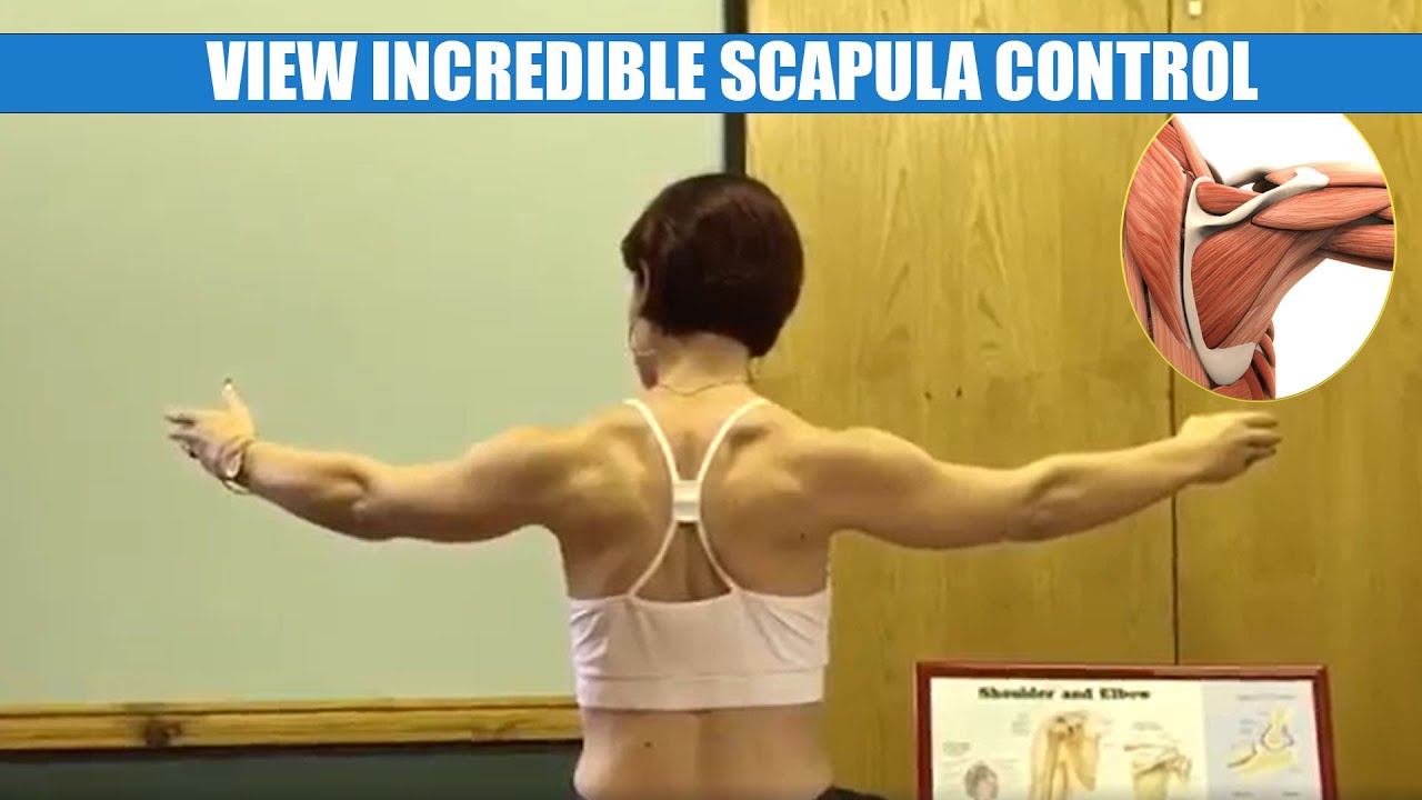 The Viral Scapula Stability Video that went totally Crazy on Social ...