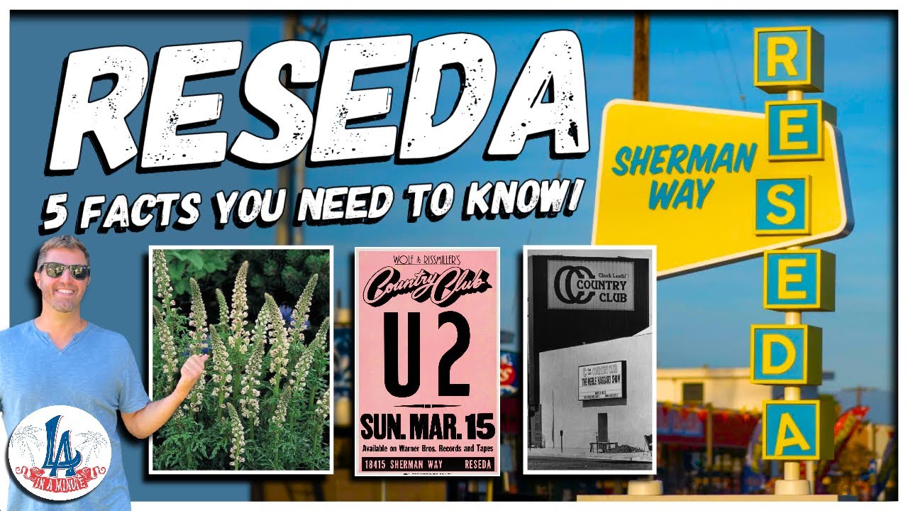 Reseda: 5 Facts You NEED to Know! - YouTube