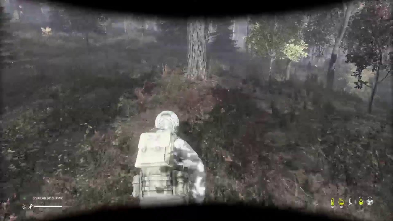 DayZ | Test - YouTube