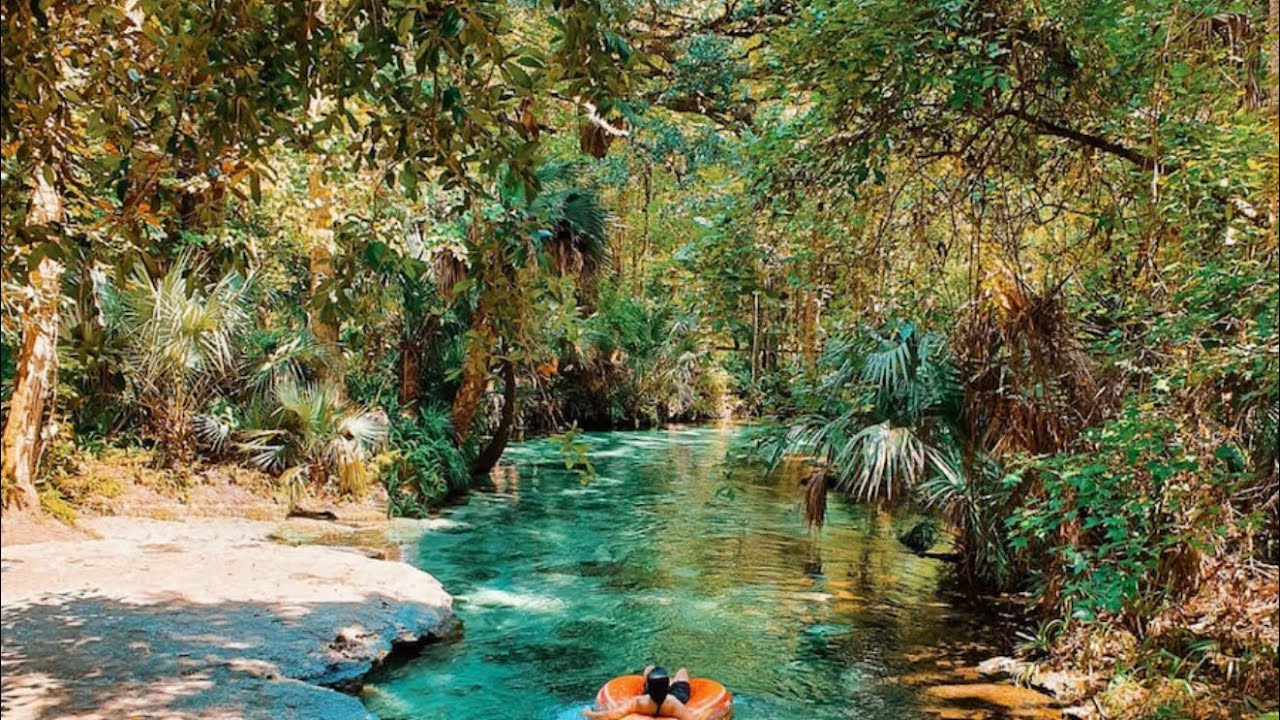 🔴 Florida Jungle swimming spring 🔴 Kelly Park Rock Spring ВОЛШЕБНЫЙ ...
