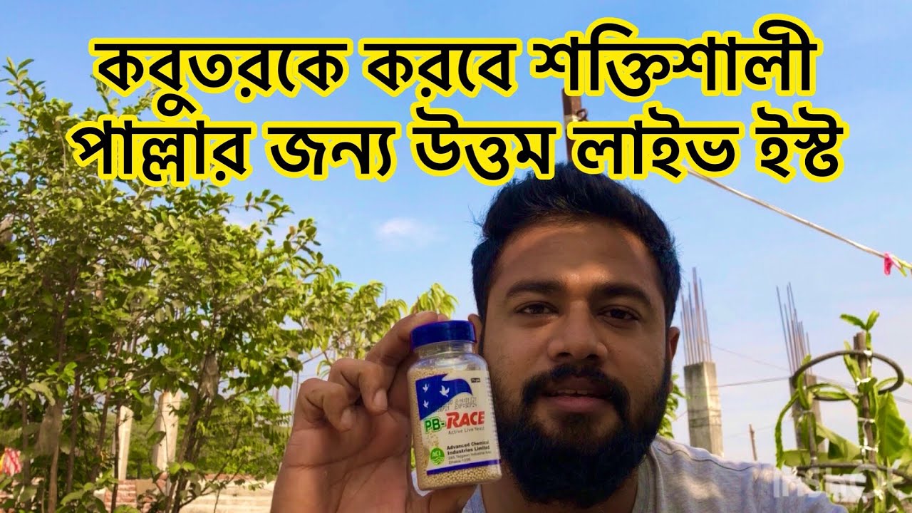ACI PB-RACE এর কাজ উপকারিতা - পিবি রেস যা কবুতরকে করবে শক্তিশালী ...